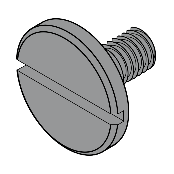 921 Brass Large Slotted Pan Head Screw